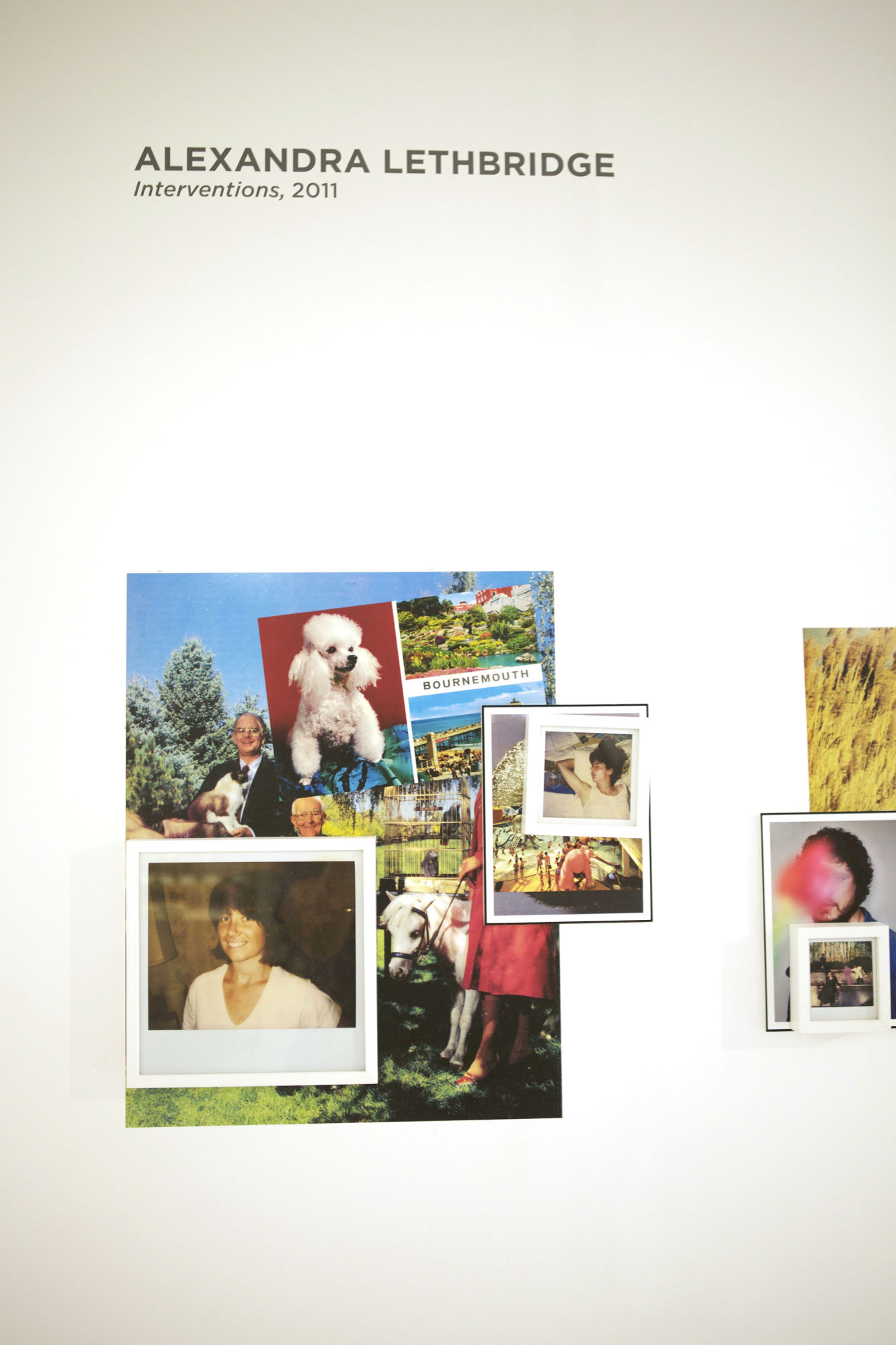Installations — Alexandra Lethbridge